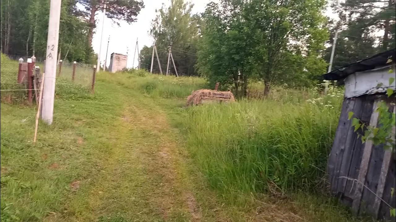 Колья кот и огород Youtube