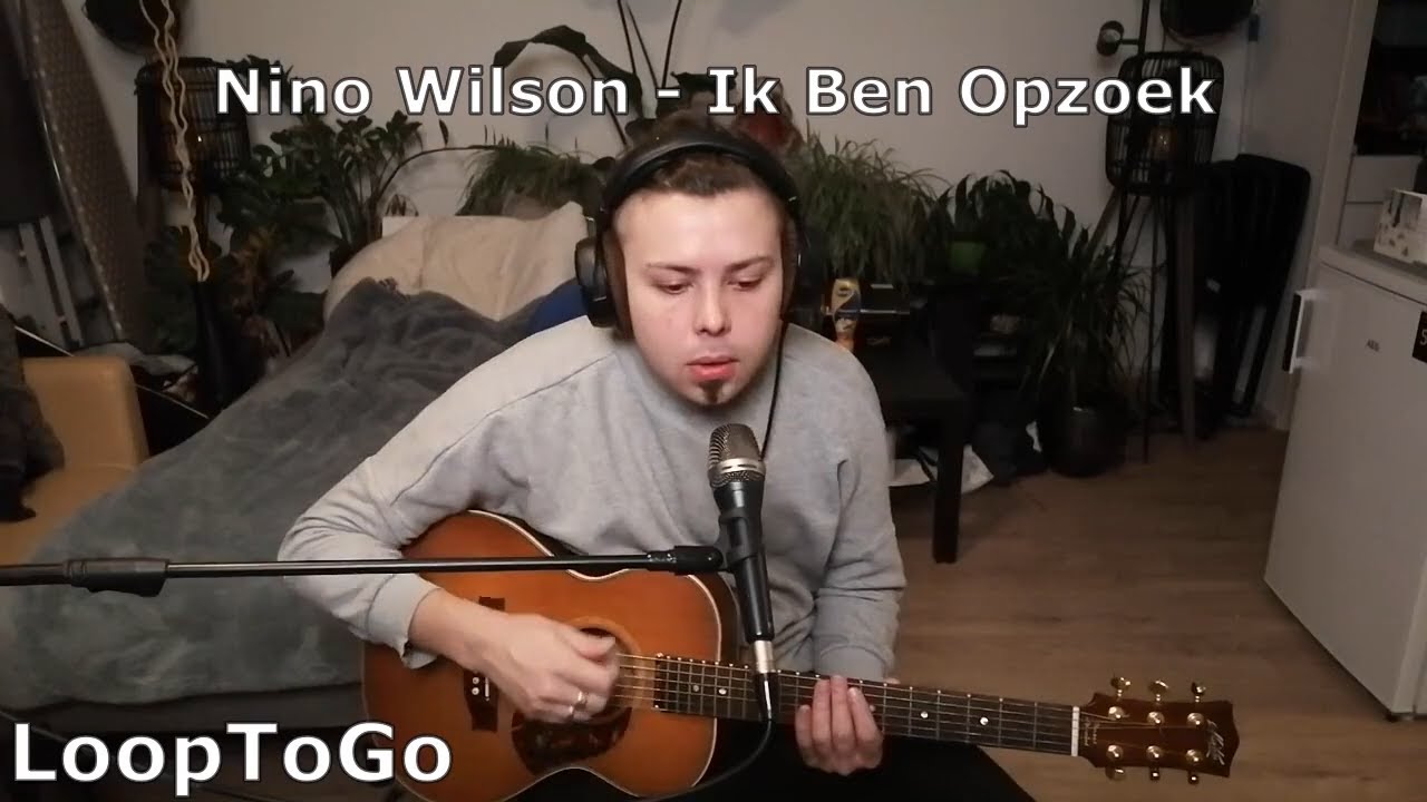 Video and gallery - LoopToGo