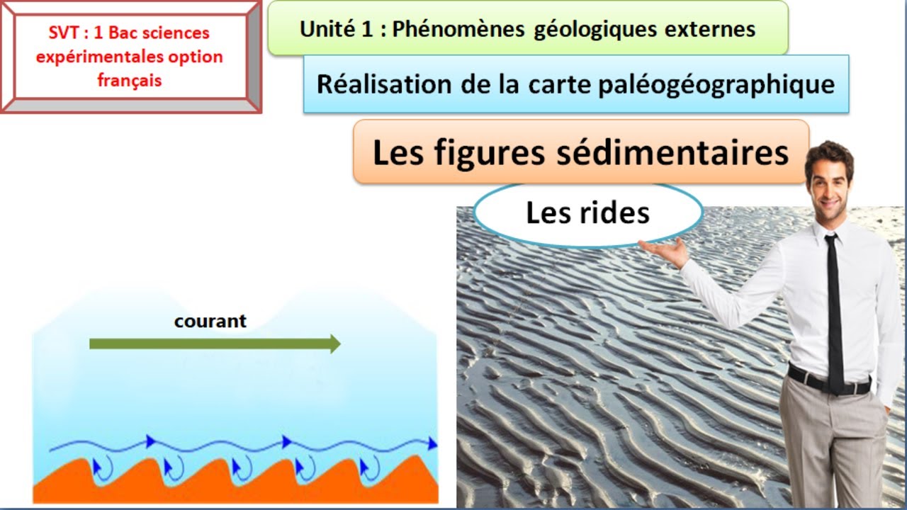 les figures sédimentaires : les rides 1Bac sciences expérimentales ...