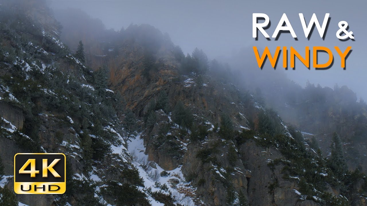 4K Raw & Windy - Snow Blizzard & Wind Sounds - Winter Nature Video ...