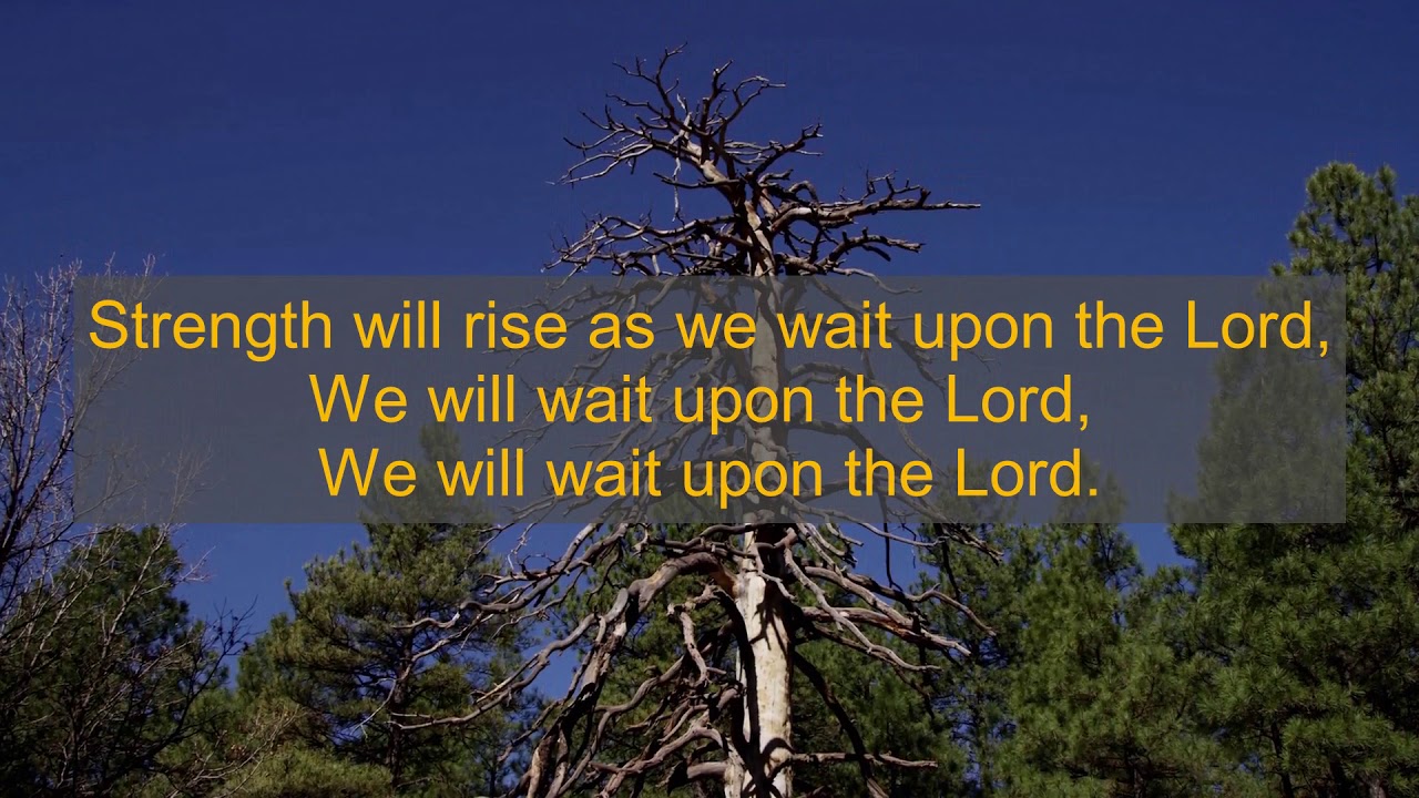 Strength Will Rise (Everlasting God) - live with lyrics - 1080p - YouTube