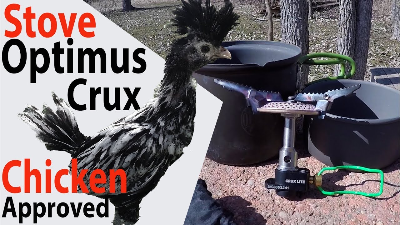 Optimus Crux Backpacking Camp Stove Review (With a Chicken?) - YouTube