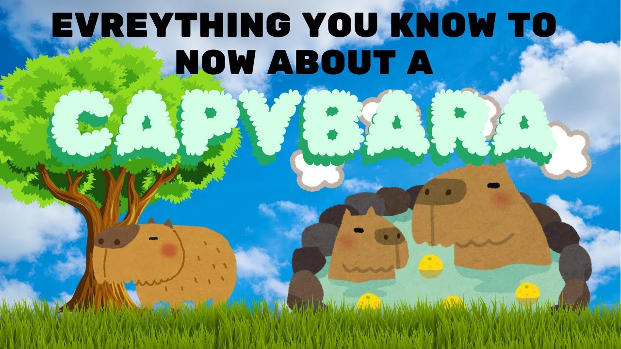 Every thig you need to know about a Capybara - YouTube