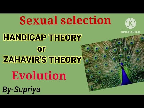 Handicap theory | Sexual selection | zahavi's theory | Evolution | csir ...
