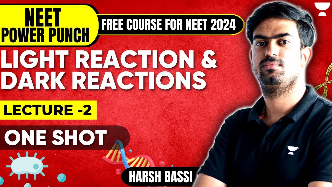 Light reaction and dark reactions | NEET 2024 | Biology | Harsh Kumar ...