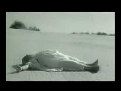 Hozan Kawa hay dunyayê