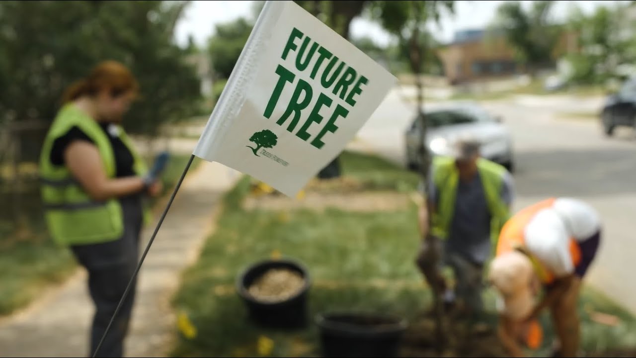 Welcome to Trees Forever - YouTube