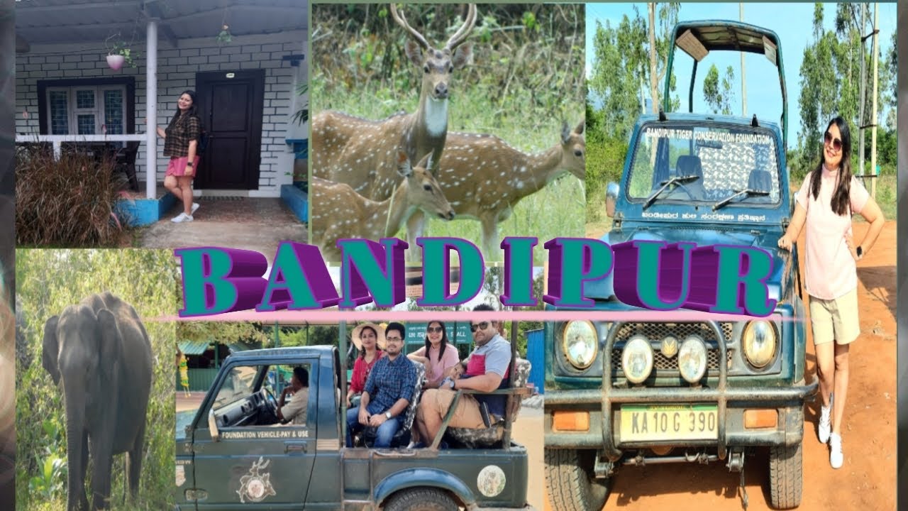 Bangalore to Bandipur road trip | Bandipur tiger reserve and national ...