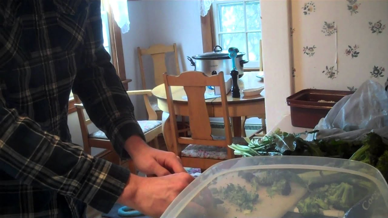How To Make Bearded Dragon Food - YouTube