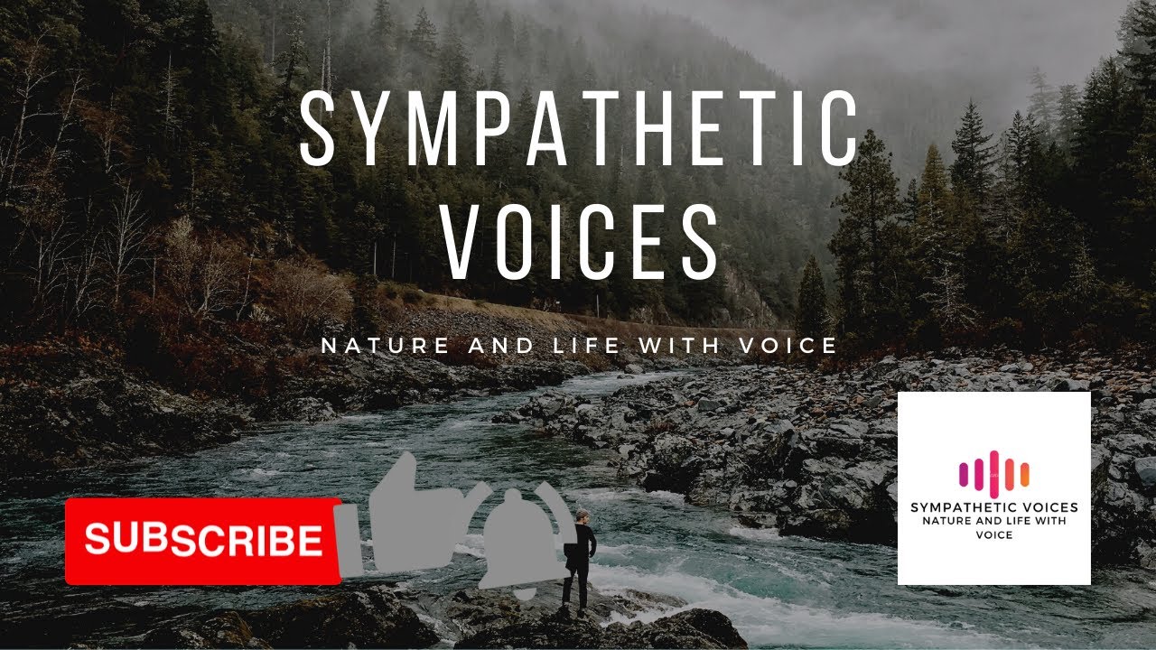 Nature and Life with Voice| Charming Moments| Sympathetic Voices - YouTube