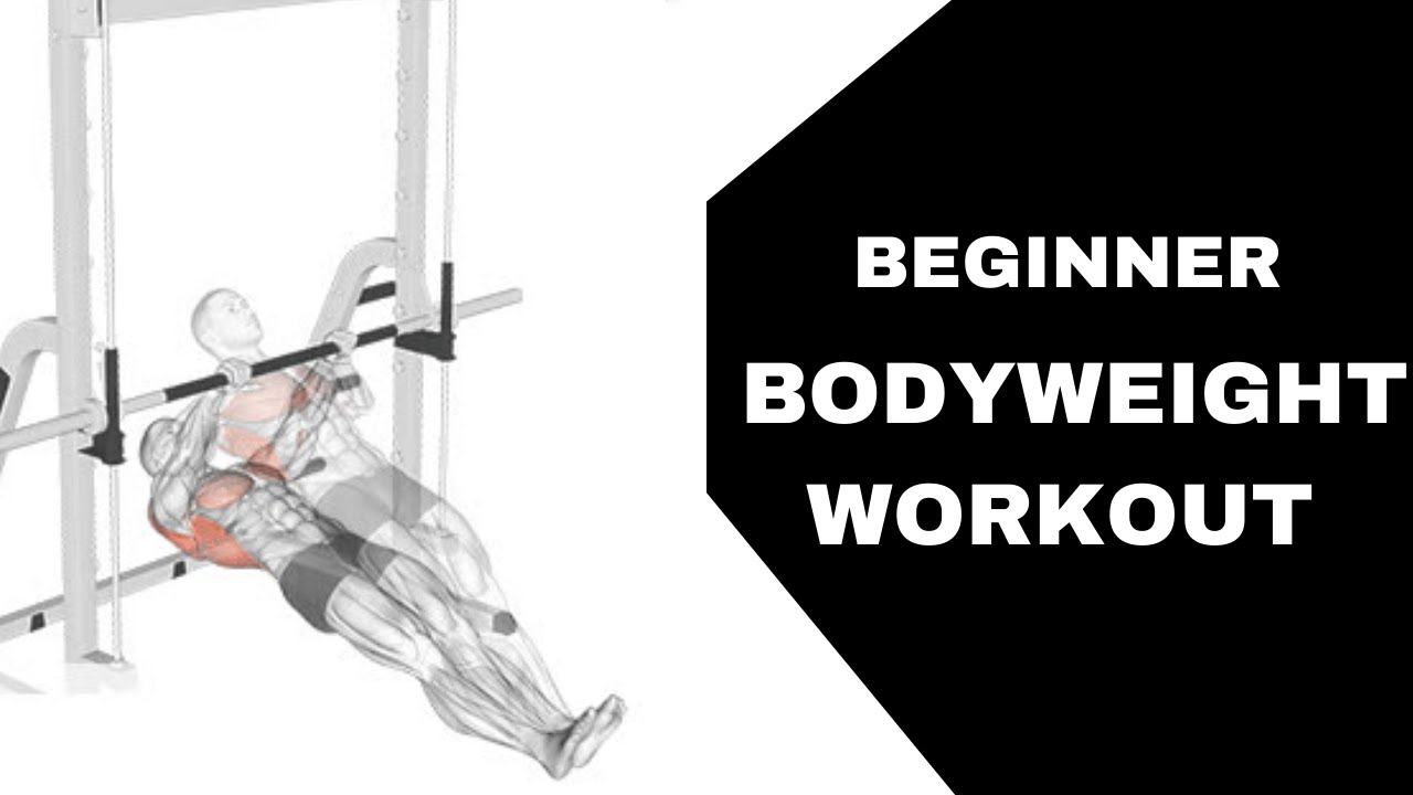 BEGINNER BODYWEIGHT WORKOUT No Equipment Needed - YouTube