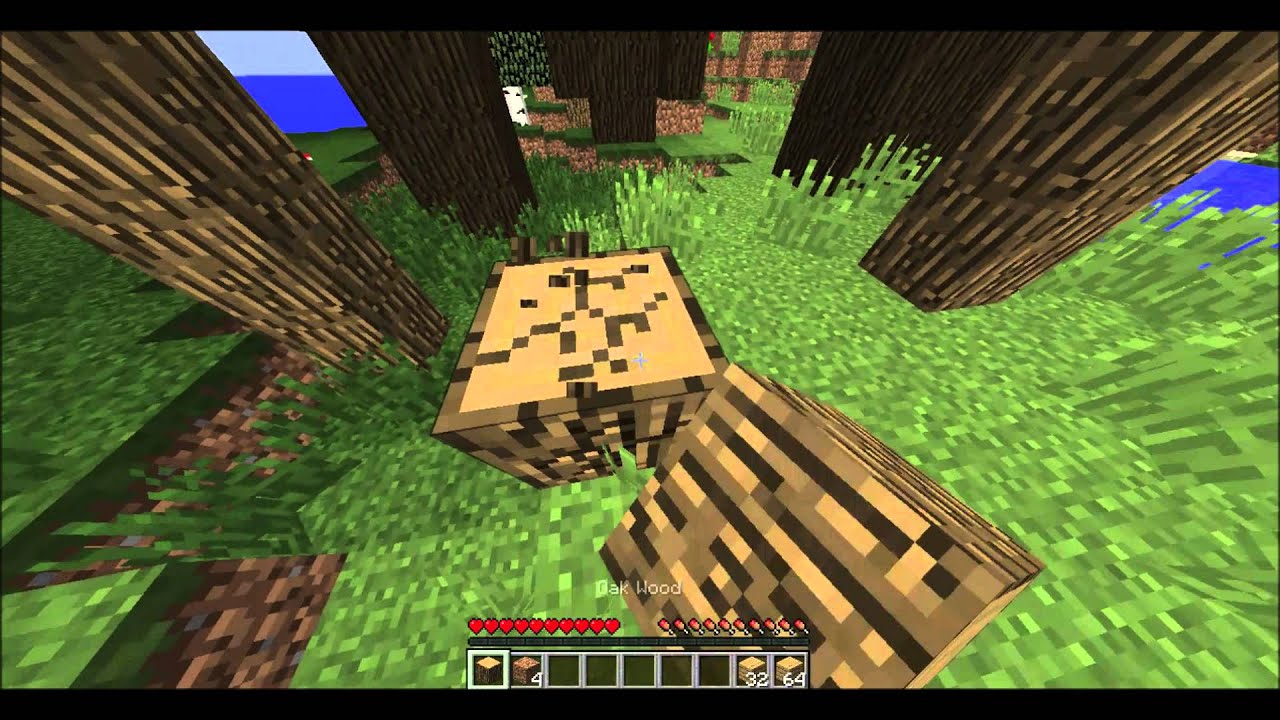 Minecraft Single Player Let's Play Episode 1 INTRODUCTION! - YouTube