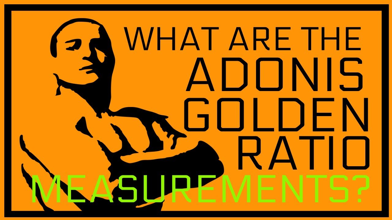 Adonis Golden Ratio Calculator