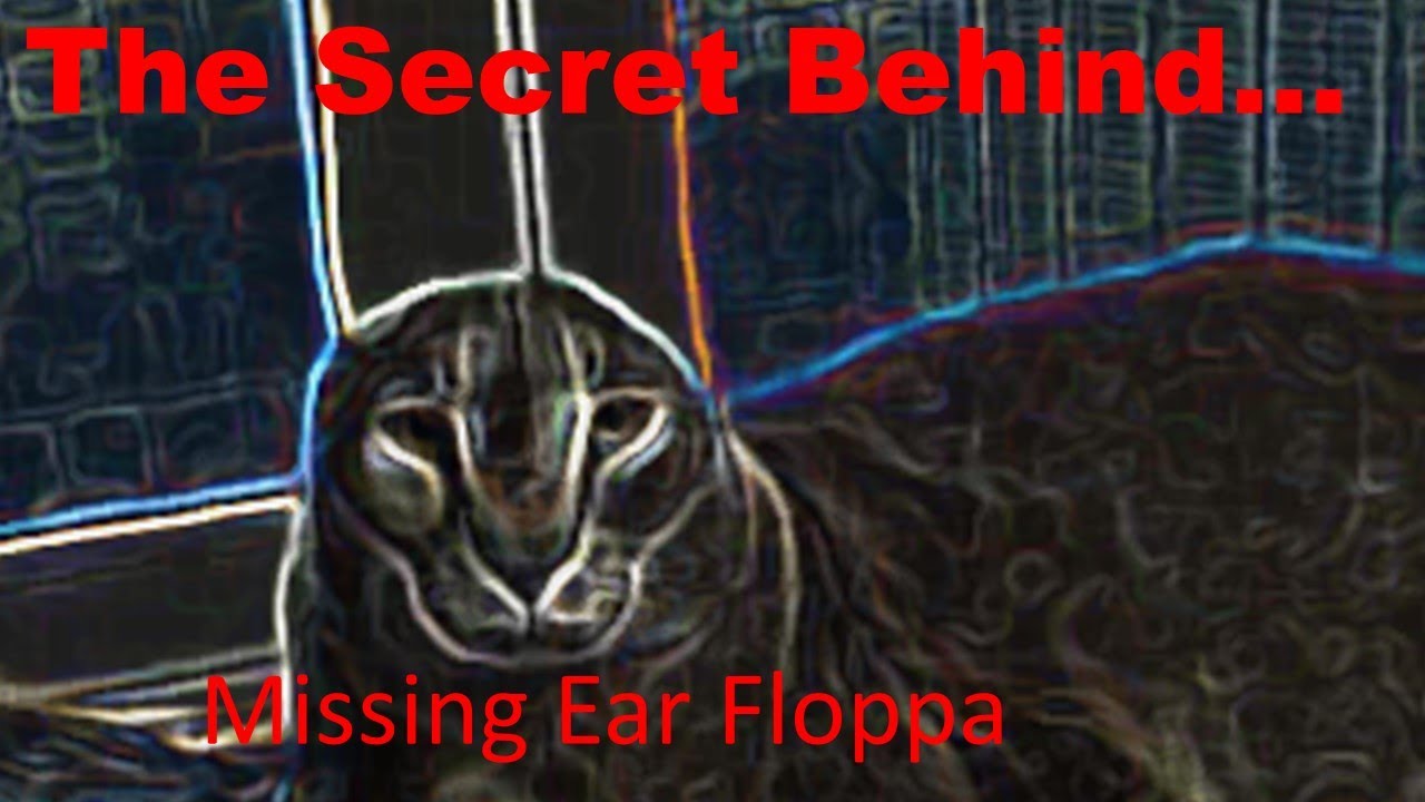 Ekal Labs: Big Floppa Earless, An Investigation (Ft. Thomas) - YouTube
