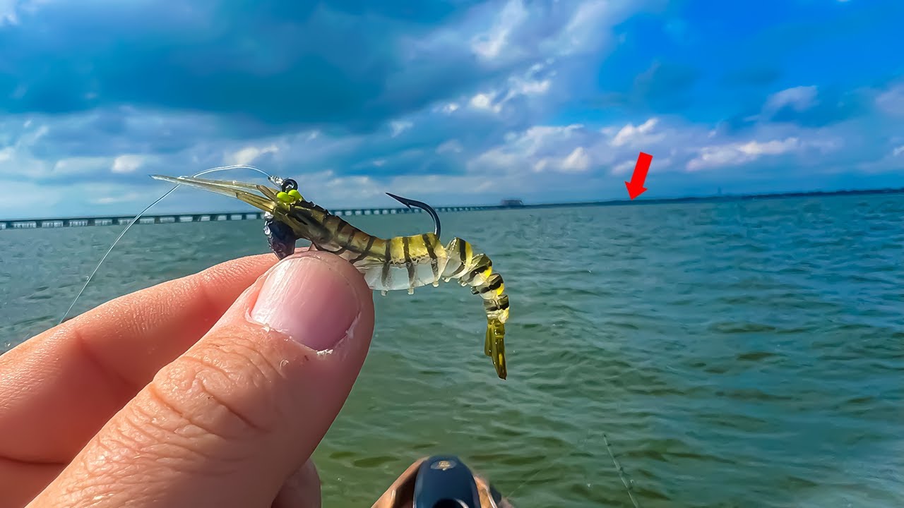 Using THIS Fake SHRIMP to Catch the TASTIEST Bridge Fish in the OCEAN ...