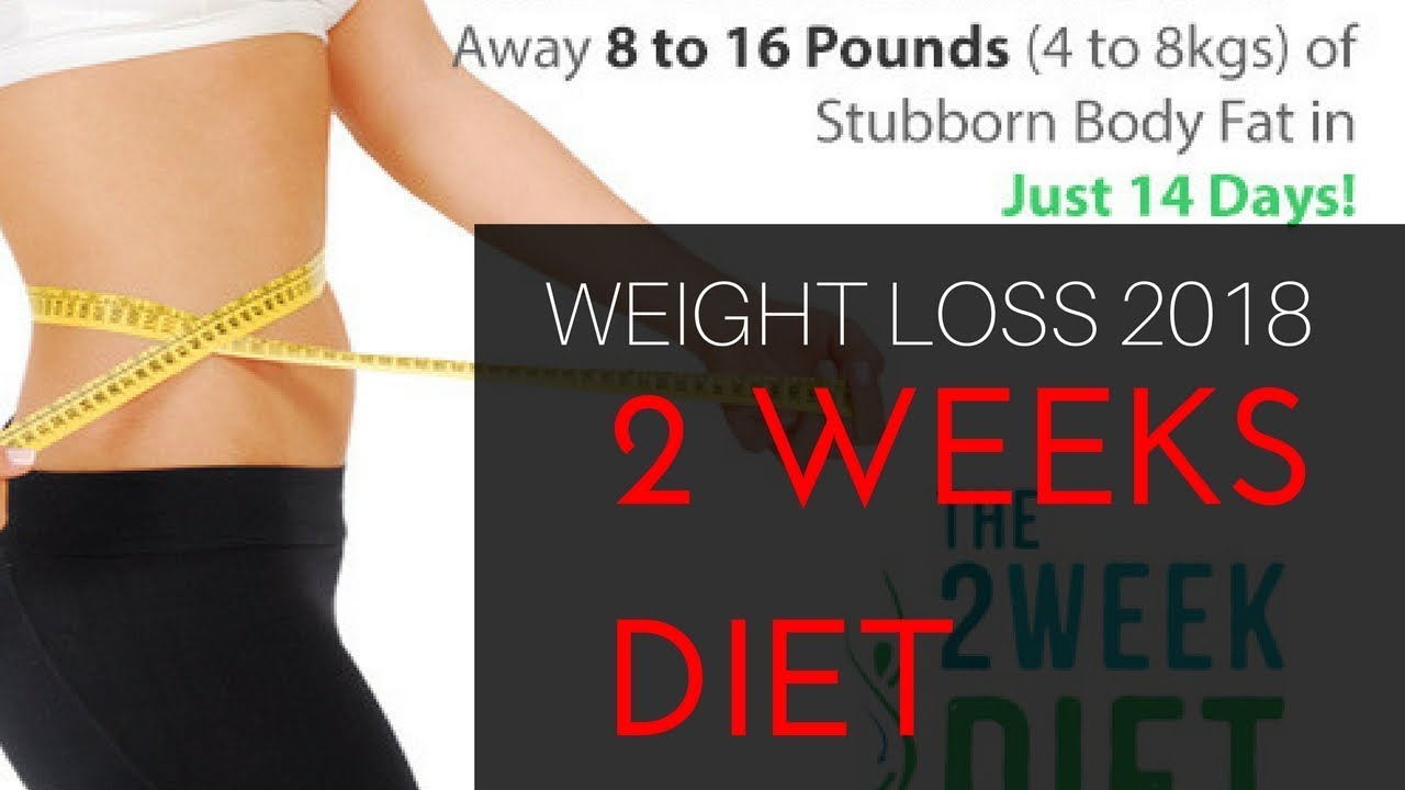 2 Weeks Diet | Ultimate Weight Loss Program + My 10 Bonuses - YouTube