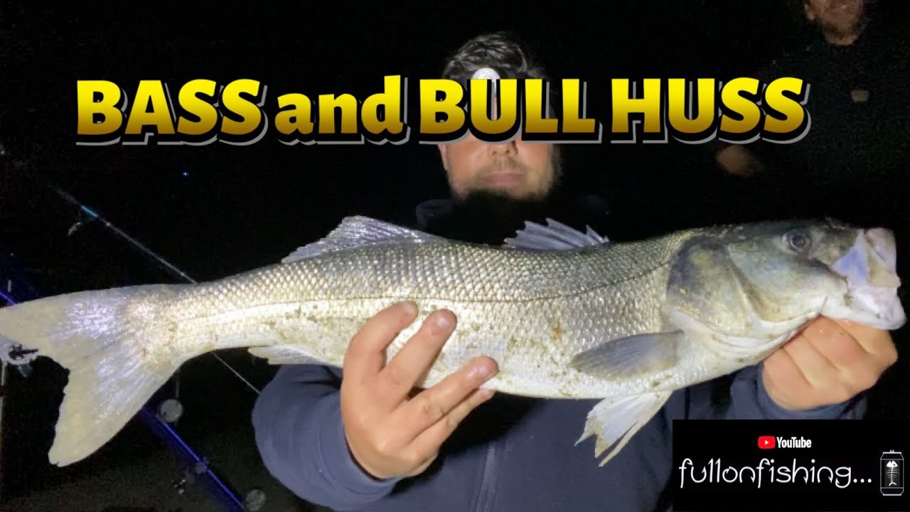 WHAT A BEAUTY! Sea Fishing for BIG BASS and BULL HUSS. JURASSIC COAST ...