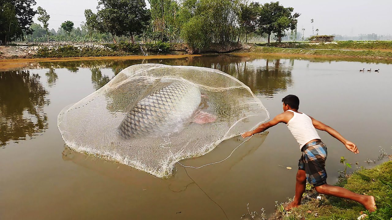 Tarditional cast net fishing beautiful natural-Amazing cast net fishing ...