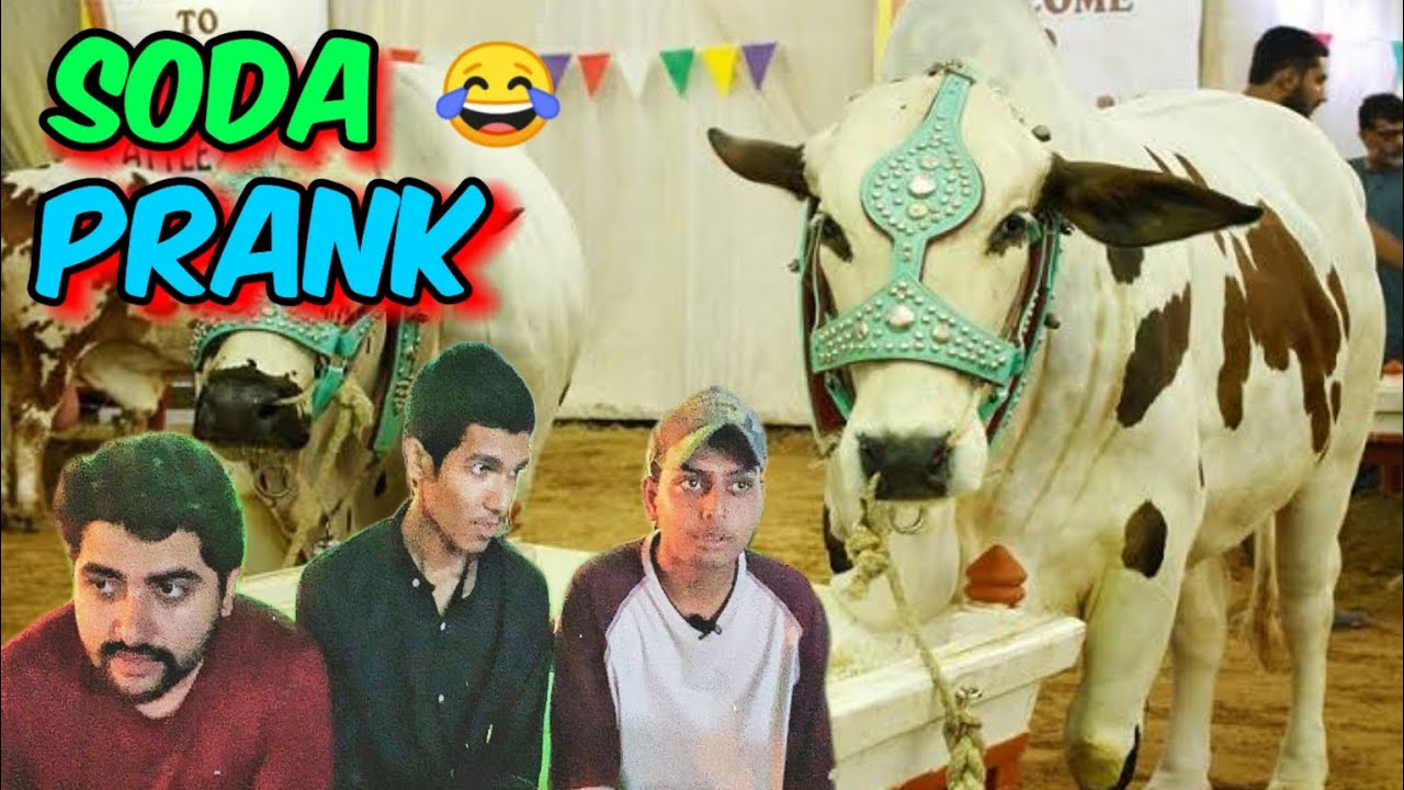 Fake Soda Kr Lia Beopari Ko Ghussa Agya YouTube fake-soda-kr-lia-beopari-ko-ghussa-agya-youtube