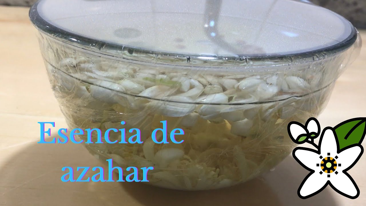 Cómo hacer esencia de azahar - YouTube
