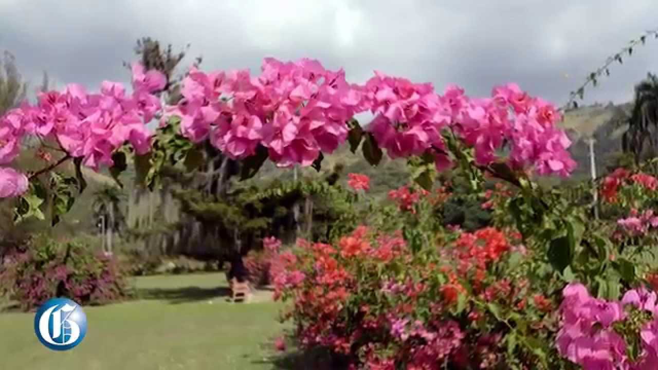 Hope Botanical Gardens Jamaica | Fasci Garden