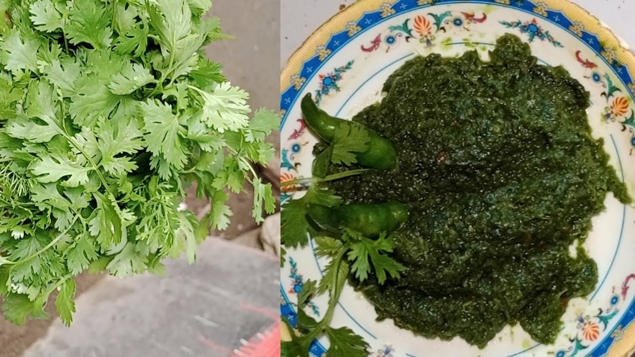 নতুন স্বাদে ধনিয়া পাতা ভর্তা রেসিপি।। ধনিয়া পাতা ভর্তা রেসিপি ...