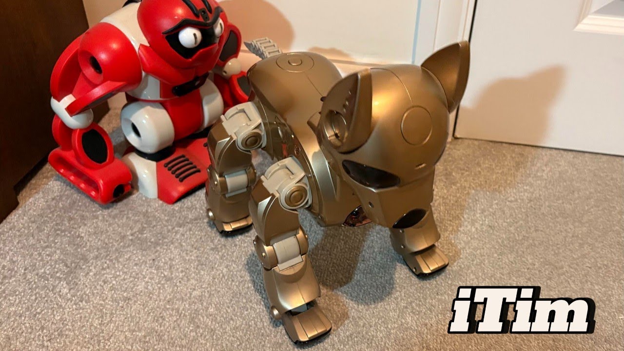 Get the Best Robot Canine Experience with RoboTim - YouTube