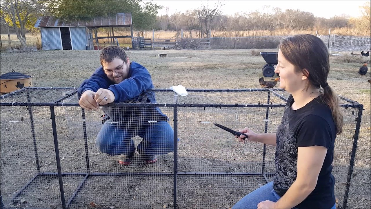 Converting a Chicken Tractor Into a Rabbit Hutch - YouTube