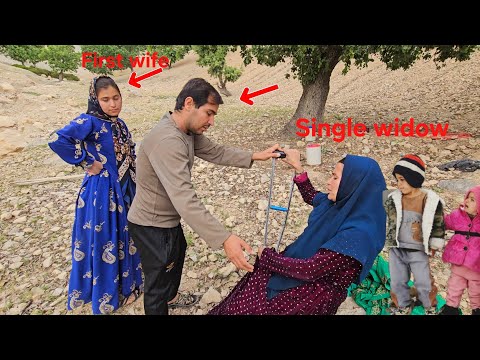 Decision-making in the wild: End of an era or survival with a single woman
