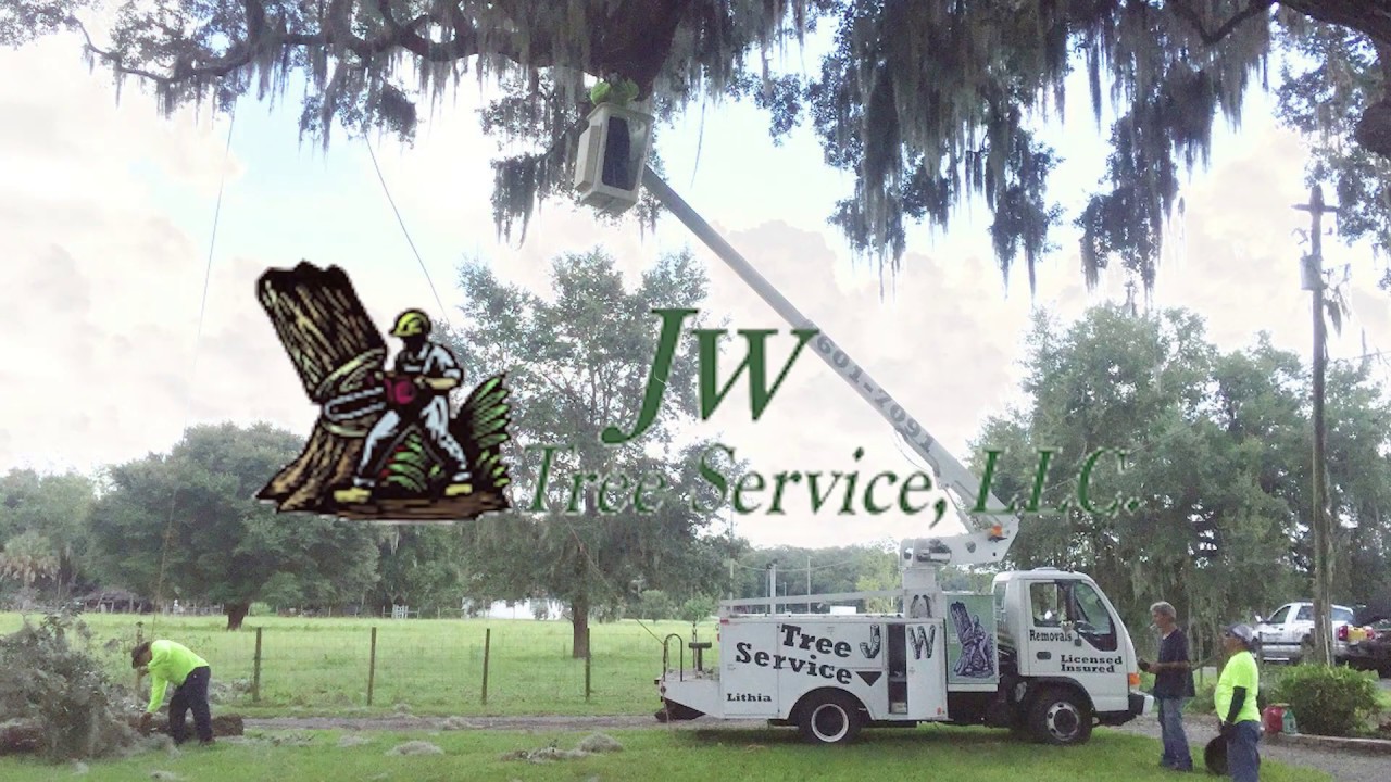 JW Tree Service, LLC - YouTube