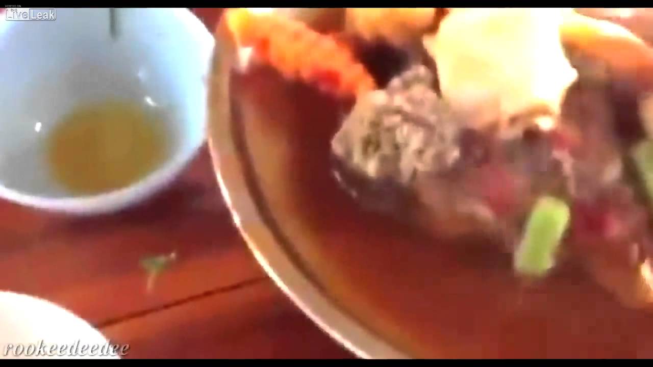 Fresh maggots with your curry sir? - YouTube