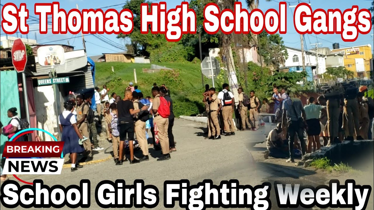 St Thomas High School Girls Are Getting Into GANG And Things Getting ...