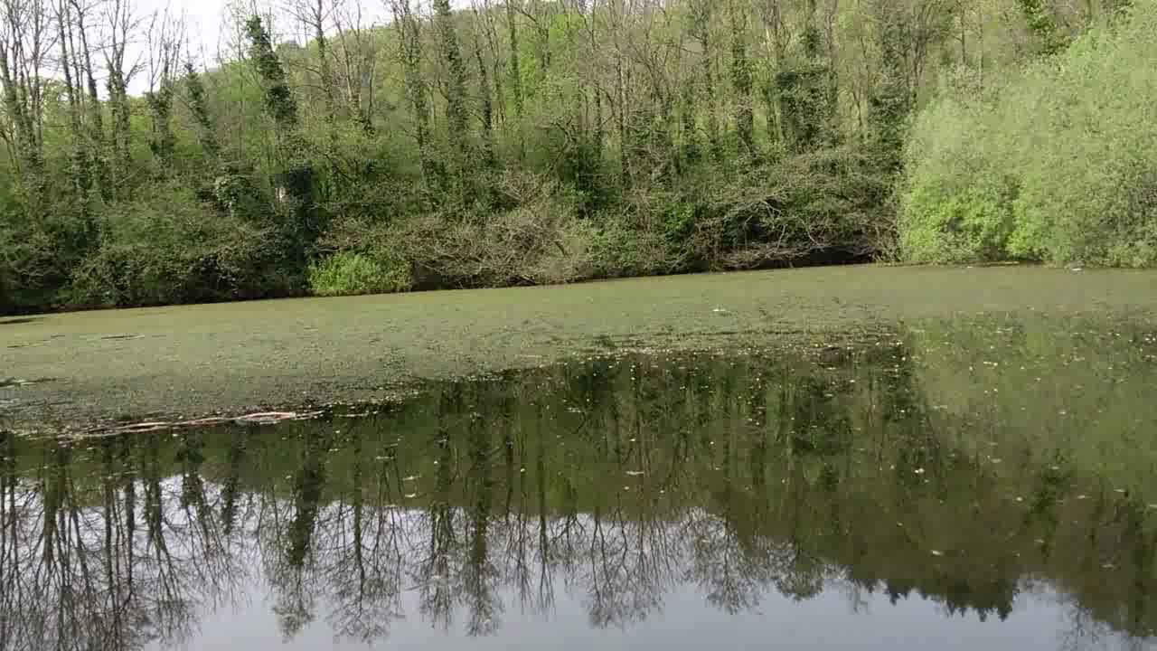 Ponds of Wales in Spring HD - YouTube