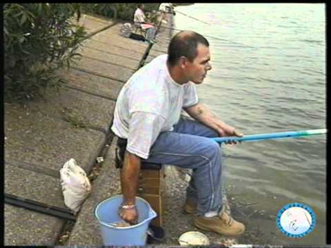 club de pesca alcosa, albures con masilla - YouTube