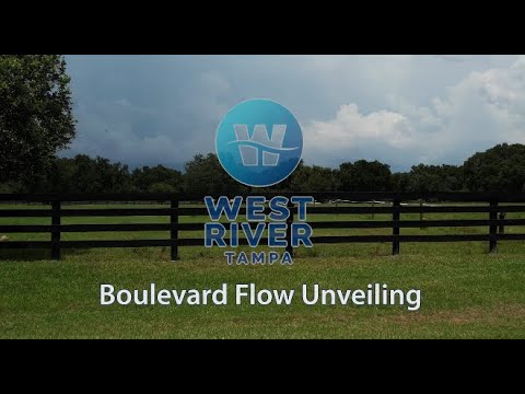 Tampa Housing Authority's Boulevard Flow Artwork Unveiling at West ...