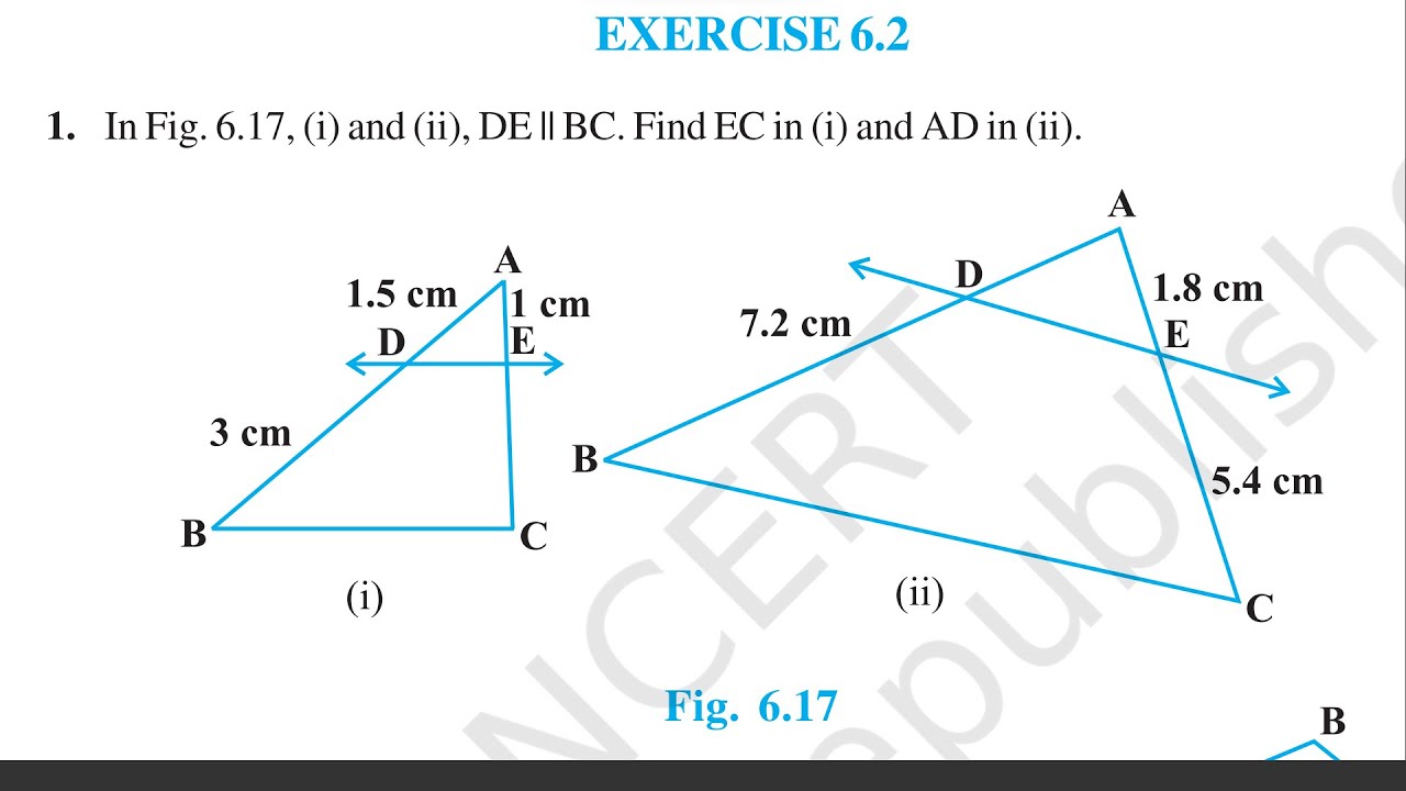 | CLASS 10 | MATHEMATICS | CHAPTER 6 | TRIANGLES | EXERCISE 6.2 ...