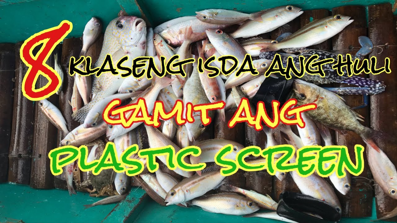 CATCHING 8 KINDS OF FISH USING FISHTRAP " BOBO" MADE BY PLASTIC SCREEN ...