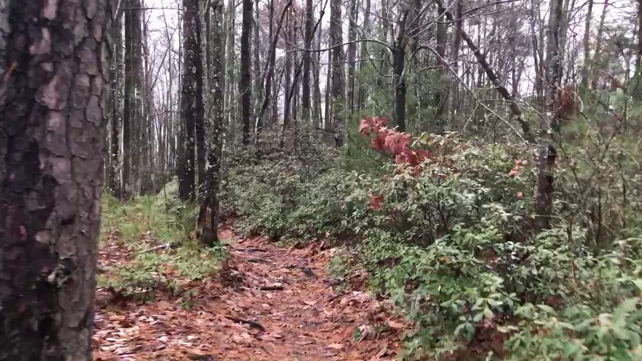Red River Gorge 12-2-19 Rush Ridge 8:02 am - YouTube
