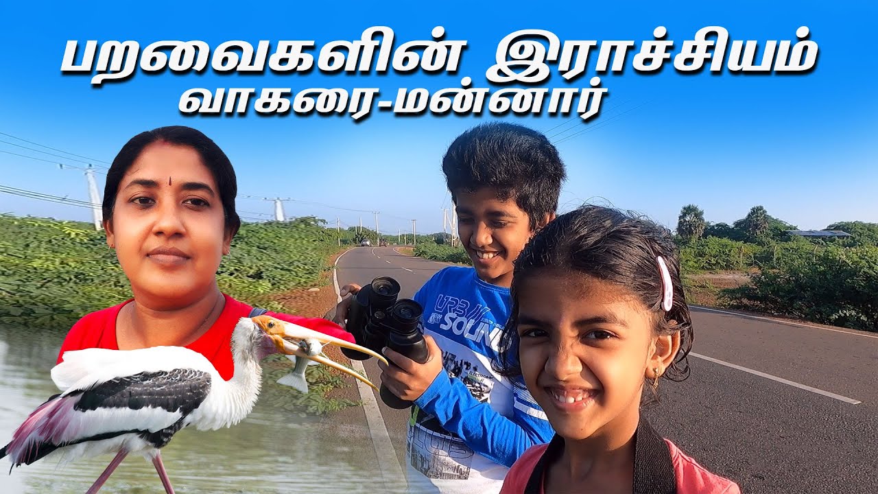 பறவைகளின் இராச்சியம் | இவ்வளவு பறவைகளா?? | Amazing birds | Vankalai ...