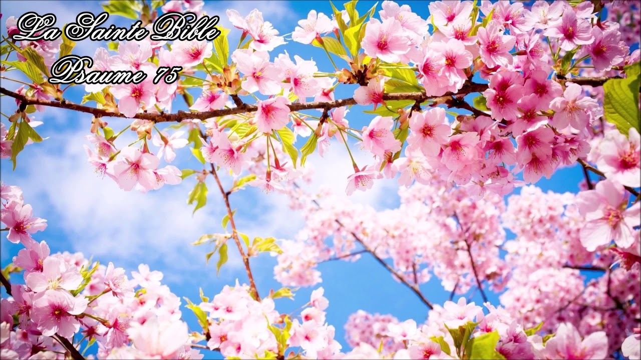 La Sainte Bible, Psaume 75 - YouTube