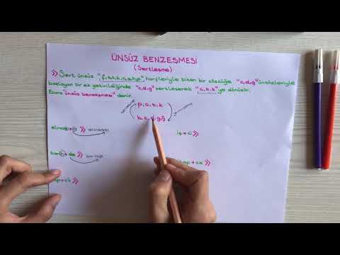 5.SINIF TÜRKÇE DERSİ SES OLAYLAR 2.BÖLÜM