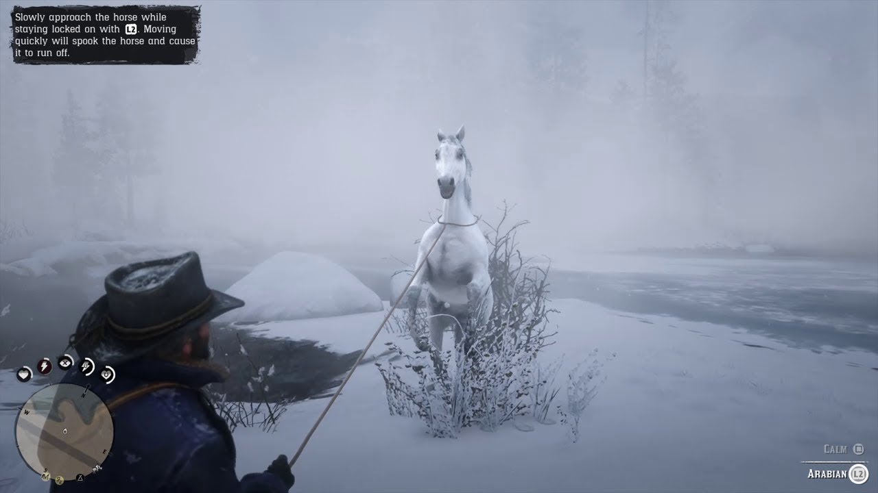 Red Dead Redemption 2 Elite Arabian Horse Using Lasso and Location ...