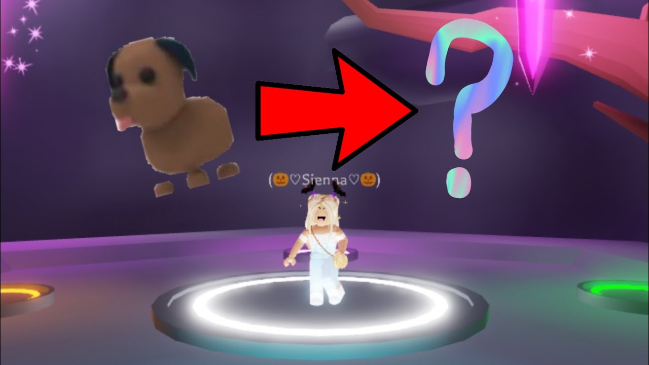Making a mega neon chocolate lab in adopt me!! - YouTube