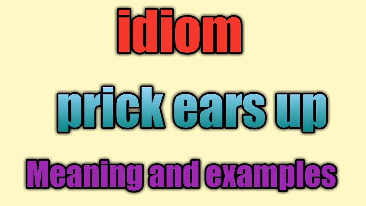 Idioms for daily use | Prick ears up | Meaning and examples - YouTube