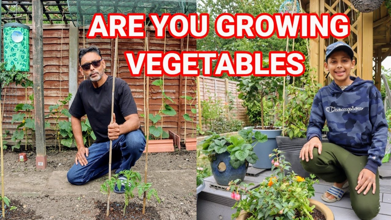 Are You Growing Vegetables | Ali Raja Garden Tour - YouTube