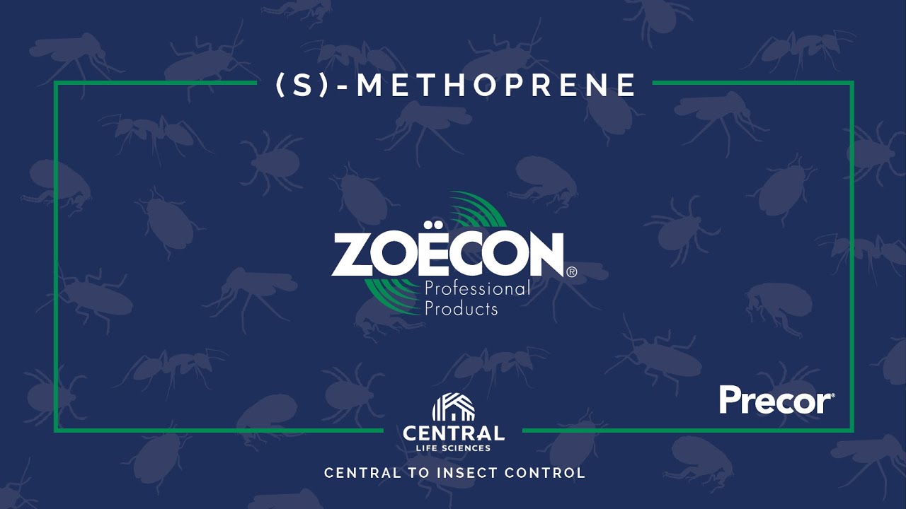 (S)-Methoprene - YouTube