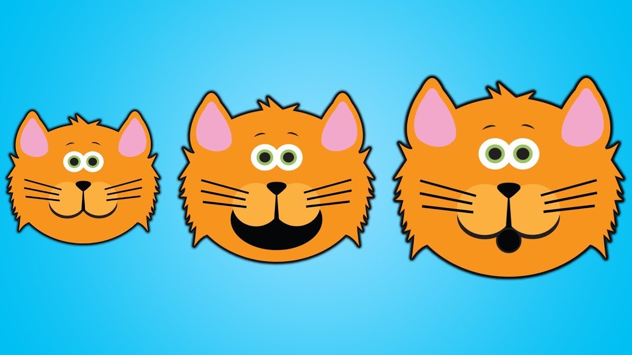 1-2-3 MEOW | Songs Sung By Kitty Cat - YouTube
