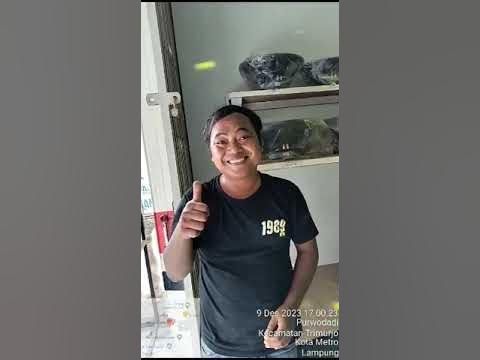 SOLD OUT BEAM 230,MIROR BALL 16IN,&MIXER LIGHTING DIAMBIL OLEH BOS PREDATOR MUSIK DARI NATAR ...