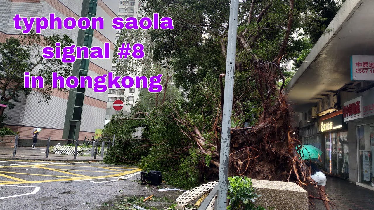 TYPHOON SAOLA SIGNAL NUMBER 8 IN HONG KONG. STRONG WIND HEAVY RAIN#HK # ...