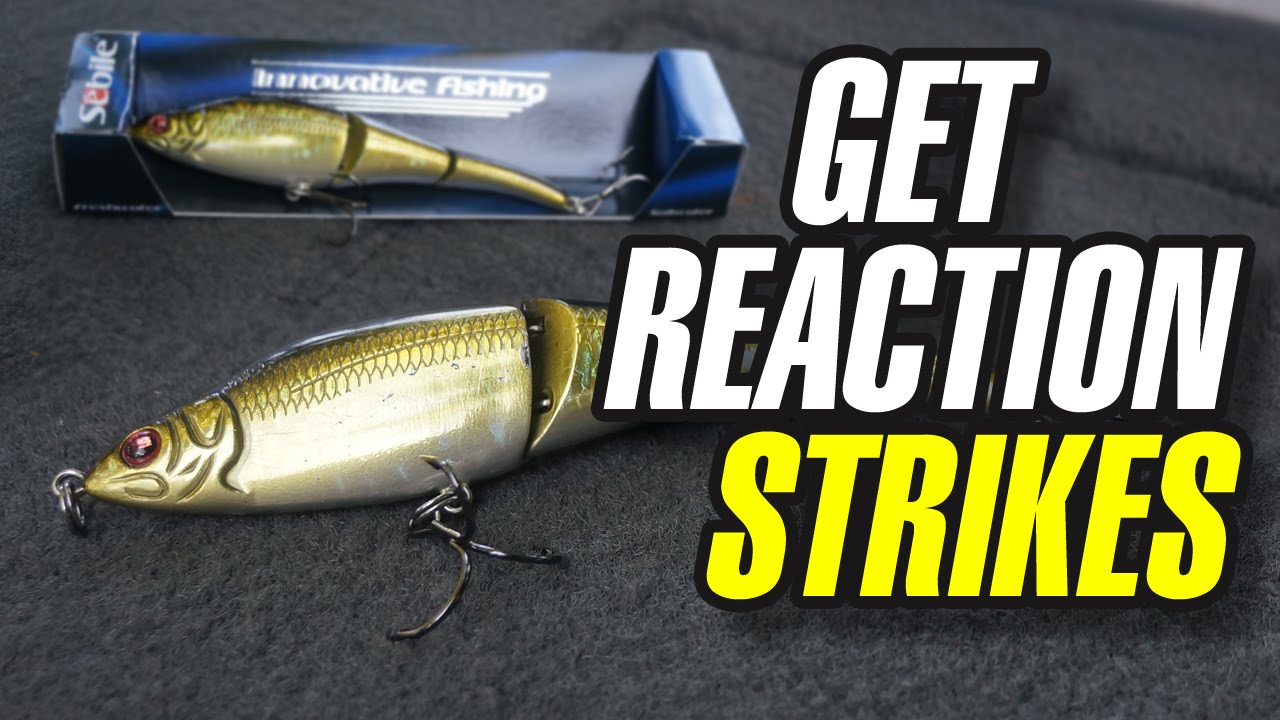 How To Get Reaction Strikes: Lucky Tackle Box Tips - YouTube